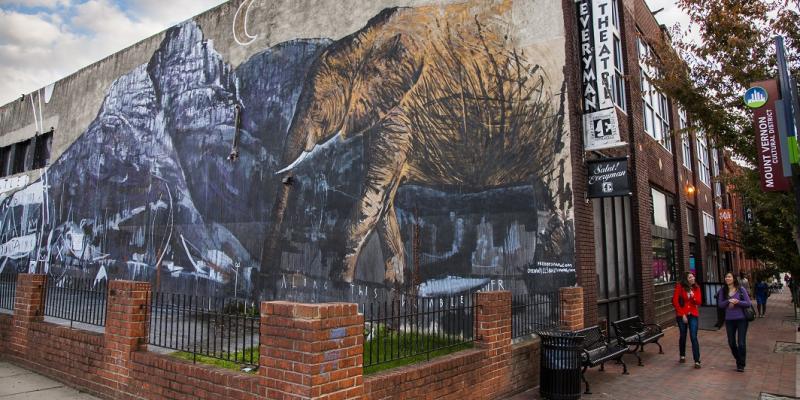 Best Street Art and Murals in the Capital Region | Capital Region USA